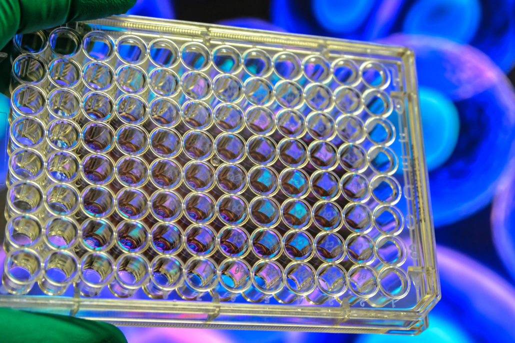 ENMEDIA Talks With FluoSphera - ENMEDIA